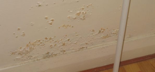 What Causes Rising Damp On Internal Walls? | Damp Patches