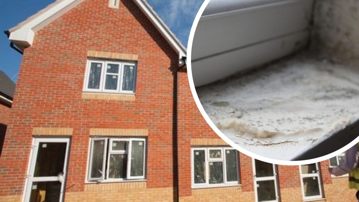 Buying A House With Damp – What You Need To Know