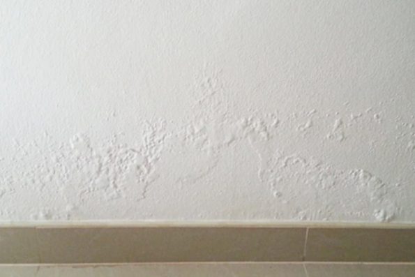 How To Treat Damp Walls Internally? Comprehensive Guide 2025