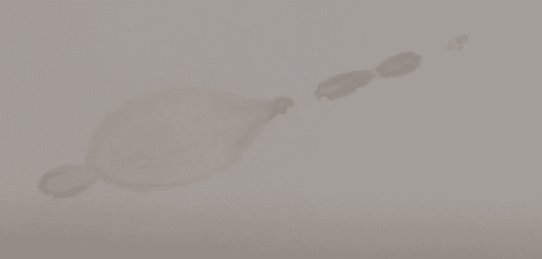 Ceiling Damp Patches: Common Causes And Solutions Explained