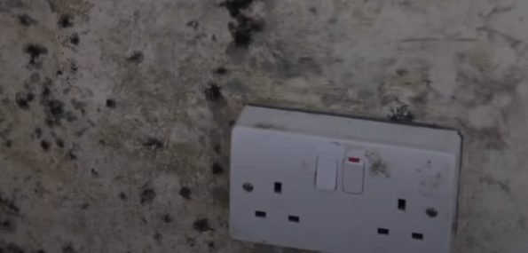 Signs And Causes | What Does Damp Look Like?