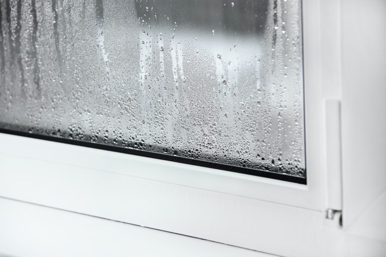Condensation In Loft & Damp Timbers – Causes & Solutions