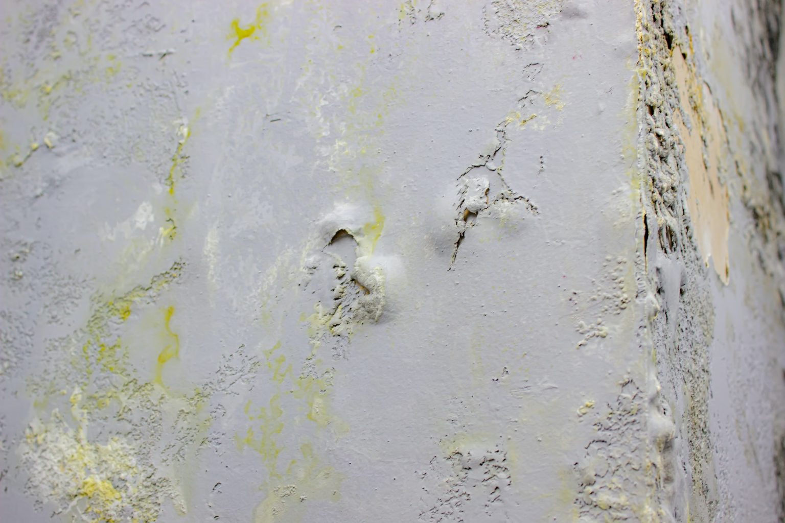 Signs And Causes | What Does Damp Look Like?