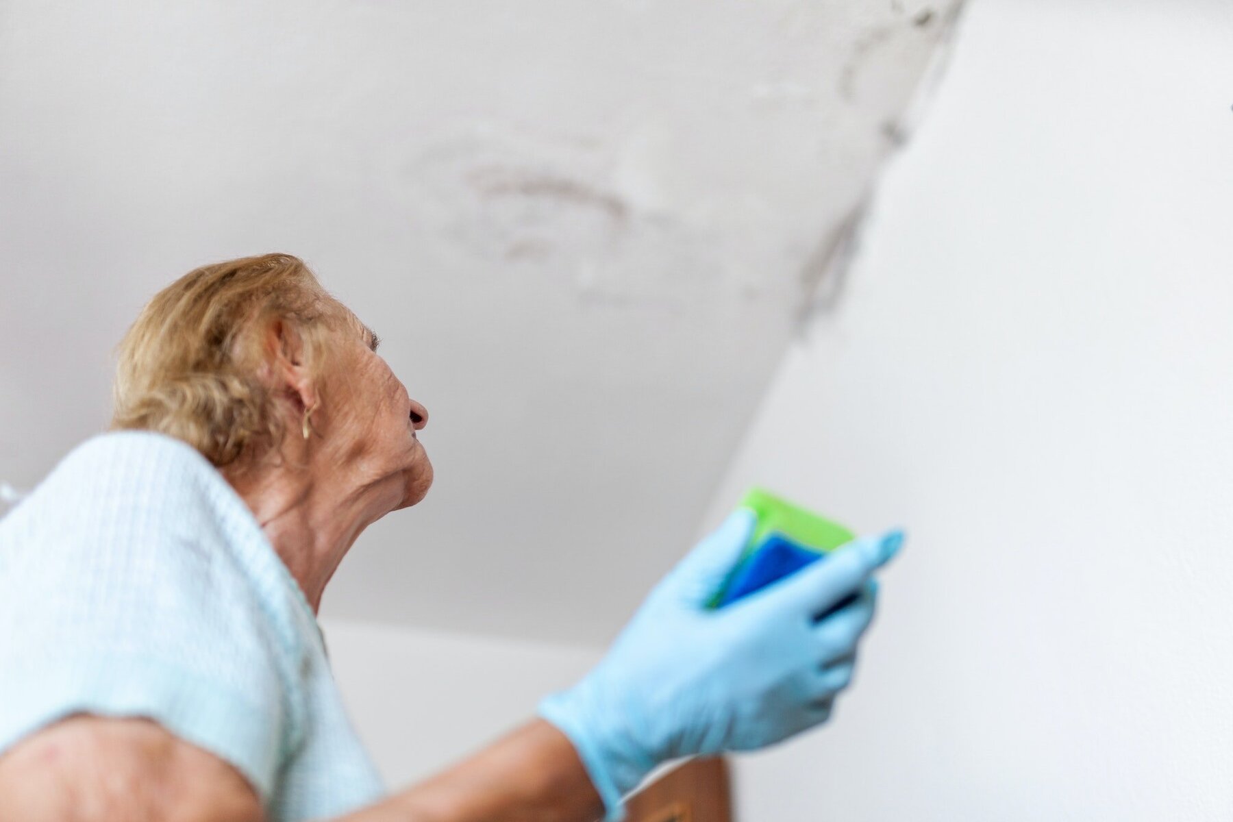 How Dangerous Is Damp For Your House Health? We Explain All