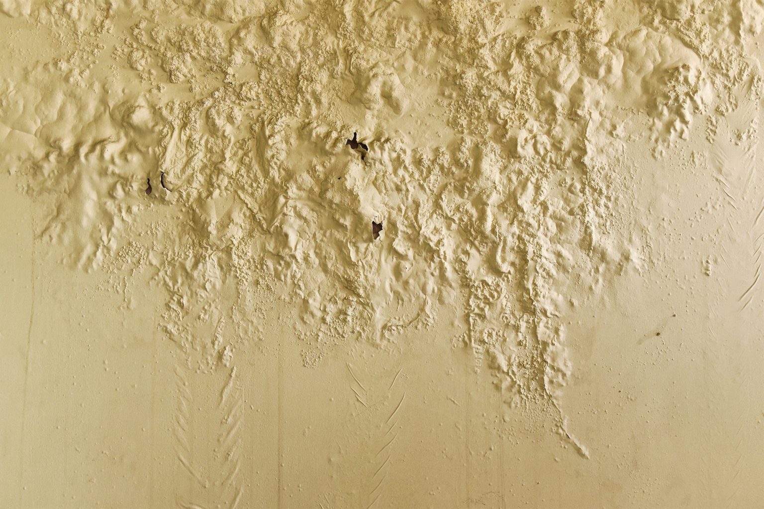 Understanding The Key Differences Between Damp And Mould