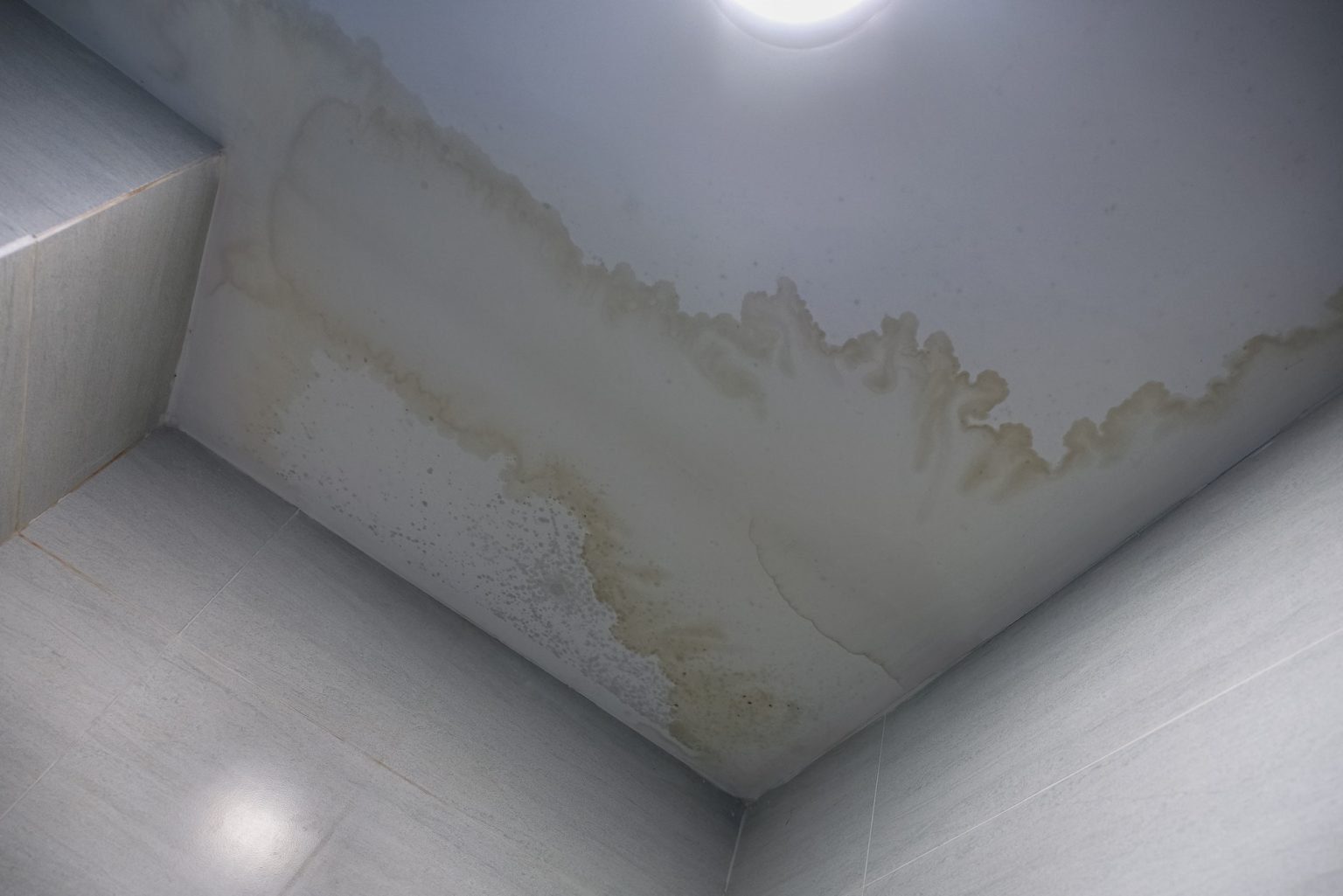 Ceiling Damp Patches: Common Causes And Solutions Explained