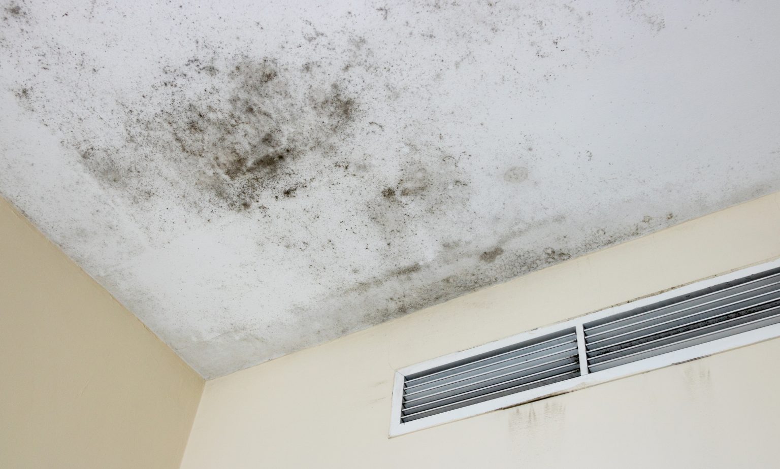 Ceiling Damp Patches: Common Causes And Solutions Explained