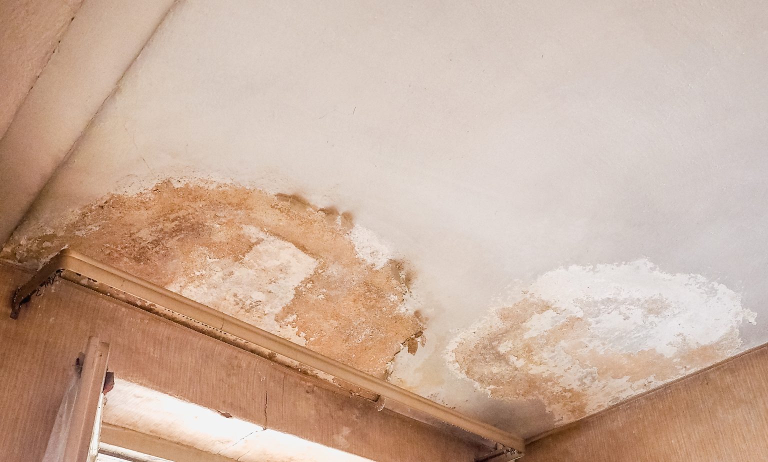 Ceiling Damp Patches: Common Causes And Solutions Explained