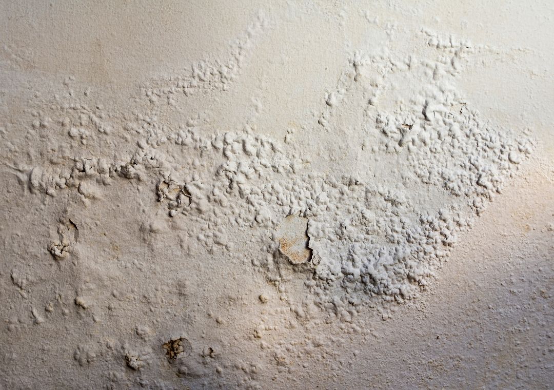 Signs And Causes | What Does Damp Look Like?