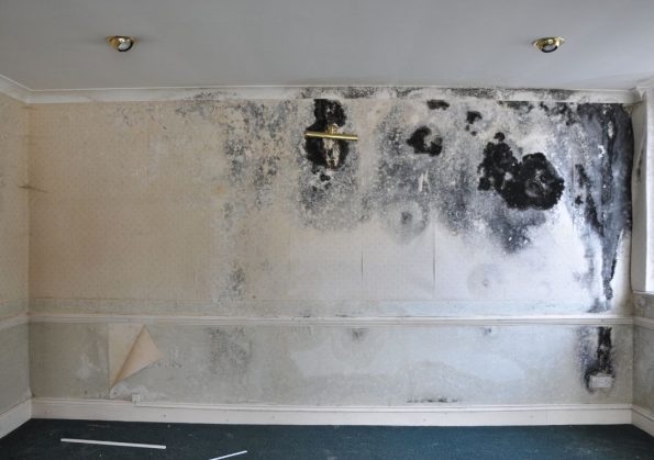 Signs And Causes | What Does Damp Look Like?