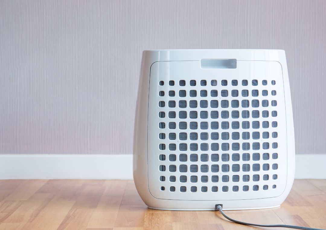 Condensation In Loft & Damp Timbers – Causes & Solutions