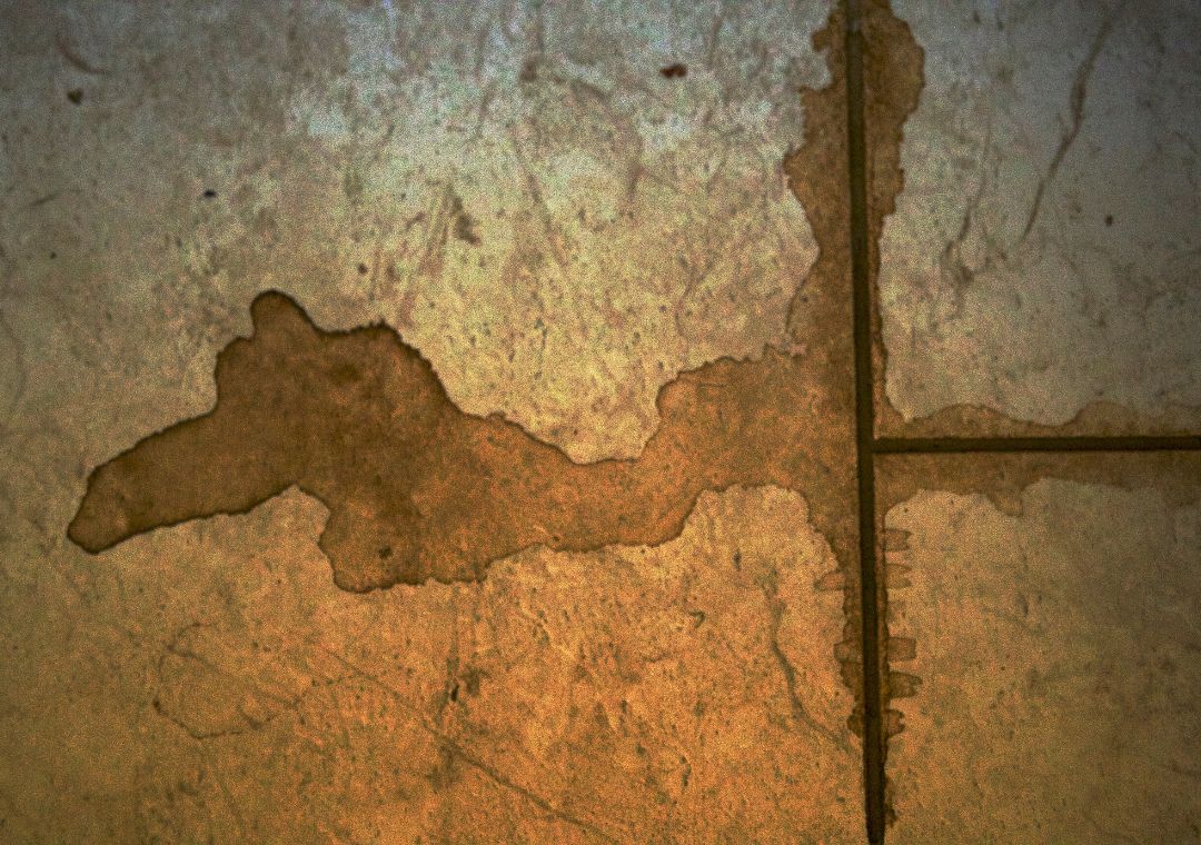 Ceiling Damp Patches: Common Causes And Solutions Explained