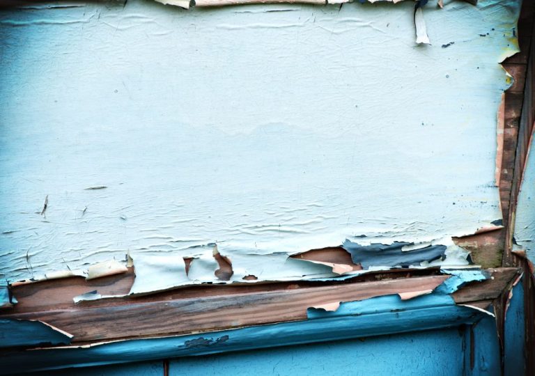 Ceiling Damp Patches: Common Causes And Solutions Explained