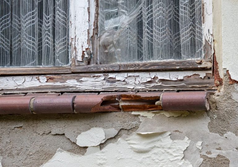 How Long Does It Take For Damp Plaster To Dry?