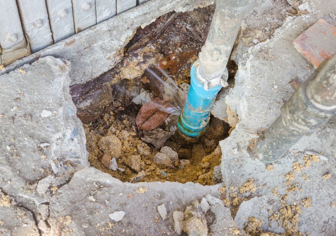 How Long Does It Take For Damp Plaster To Dry?