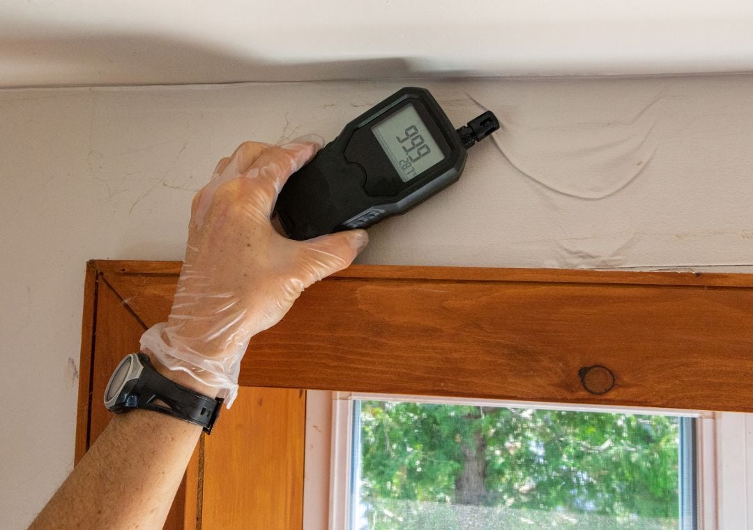 How To Repair A Damp Internal Wall – Step-by-Step Guide