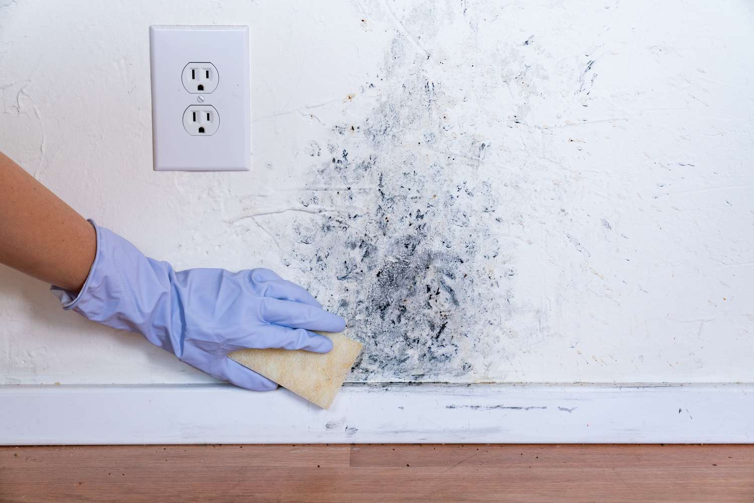 Dealing With Damp And Mould In Rental Properties