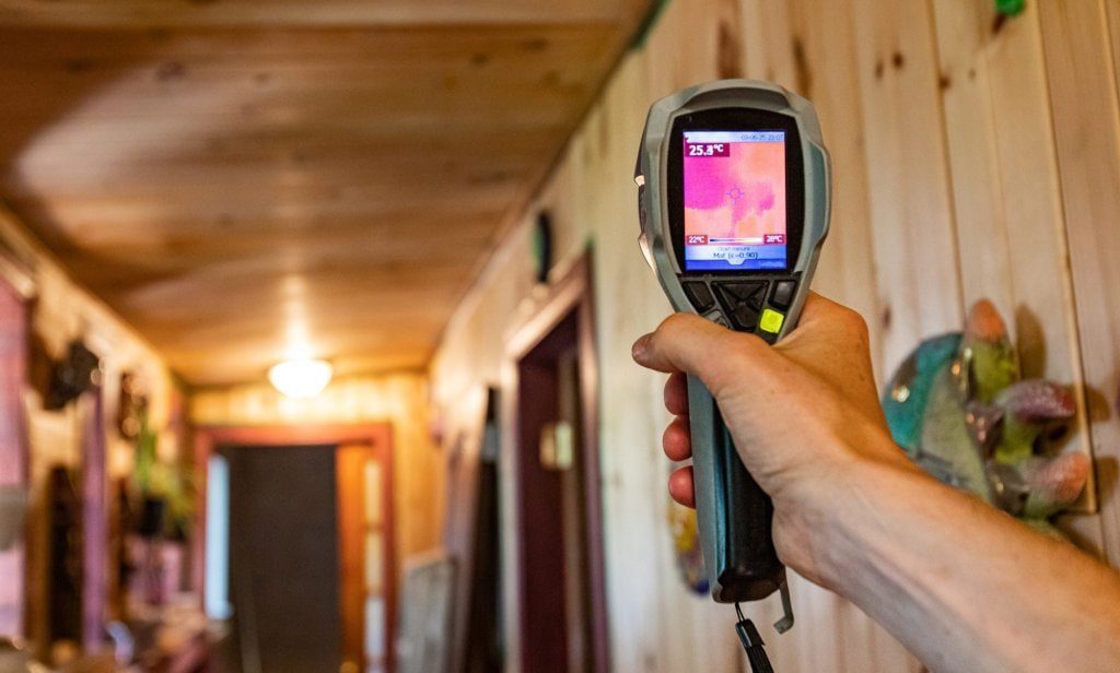 Damp Survey London | Damp & Timber Reports | Local Surveyors