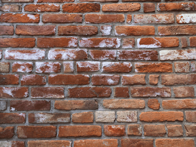 A User's Manual On How To Handle Rising Damp