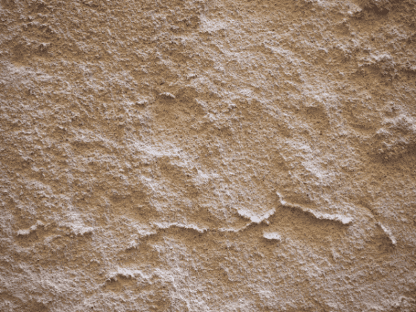 How Long Does It Take For Damp Plaster To Dry?