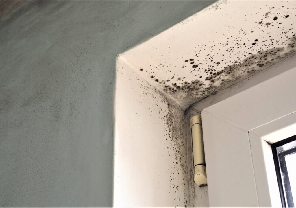 Ceiling Damp Patches: Common Causes And Solutions Explained