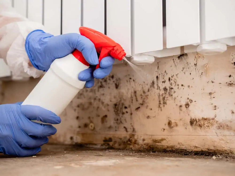 Damp Proofing Maidenhead | Specialist Local Damp Company