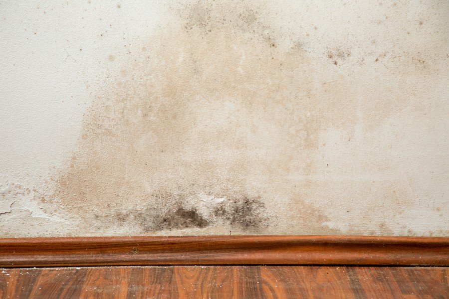 Damp Proofing St. Albans | Professional & Local Damp Experts