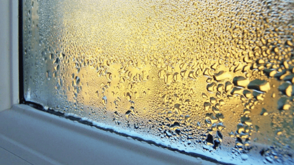 Why Does Condensation Get Worse In The Winter? – Advanced Damp LTD | UK ...