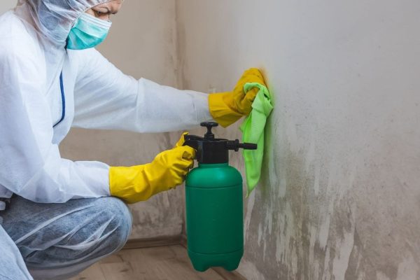 Damp Proofing Finsbury Park | Specialist Damp Company